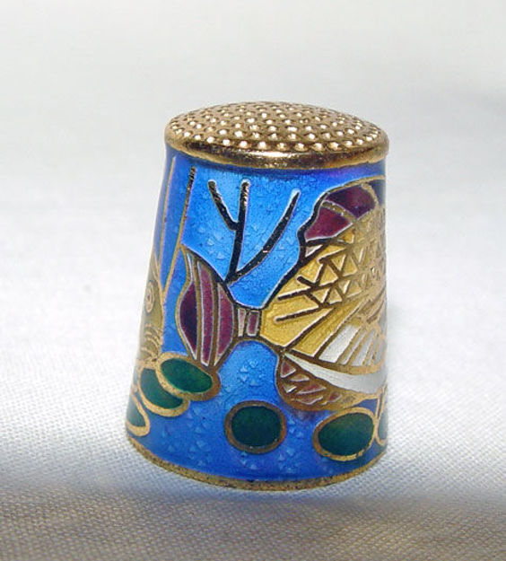 sciary. Thimble fish